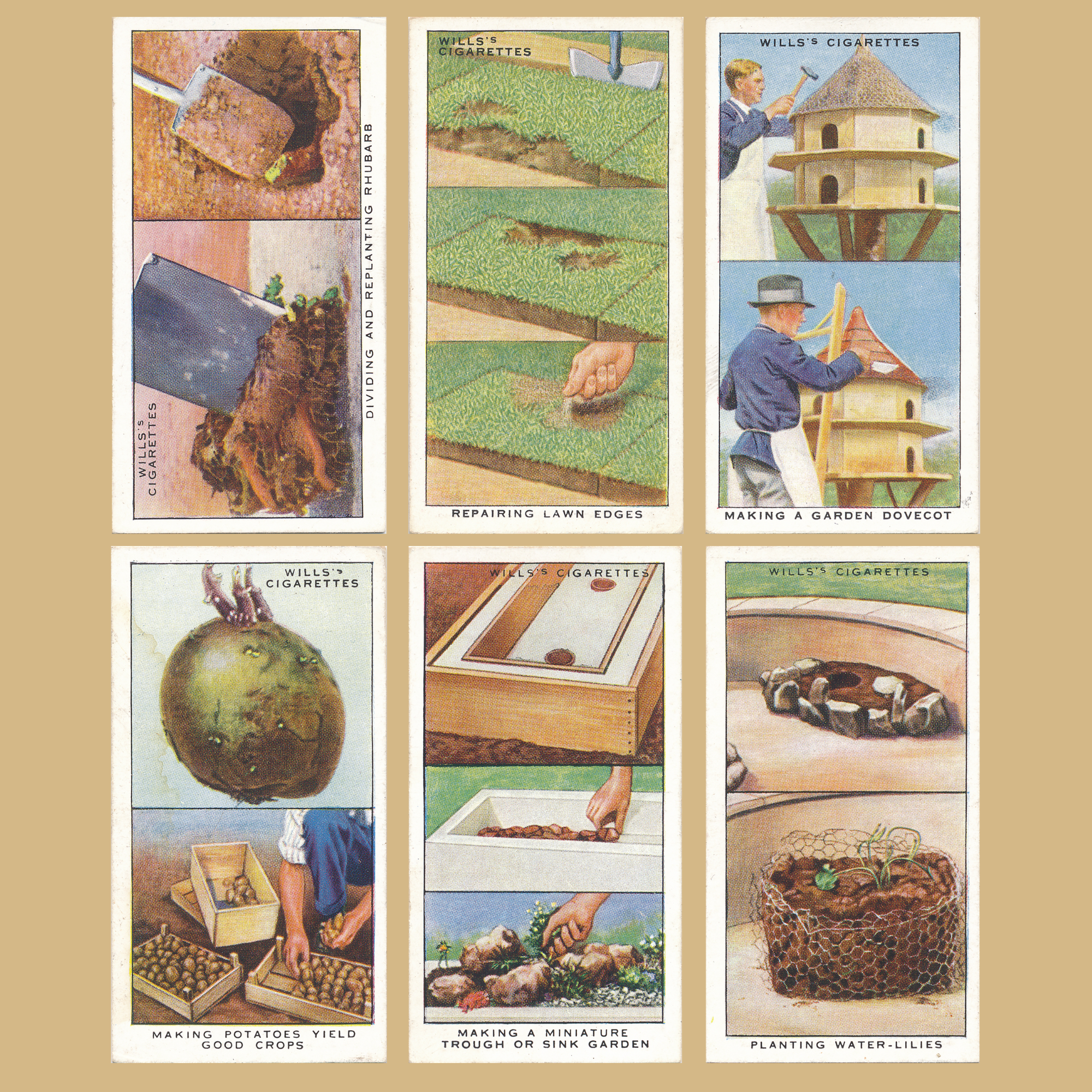 Garden Hints – Ciggi's Collection